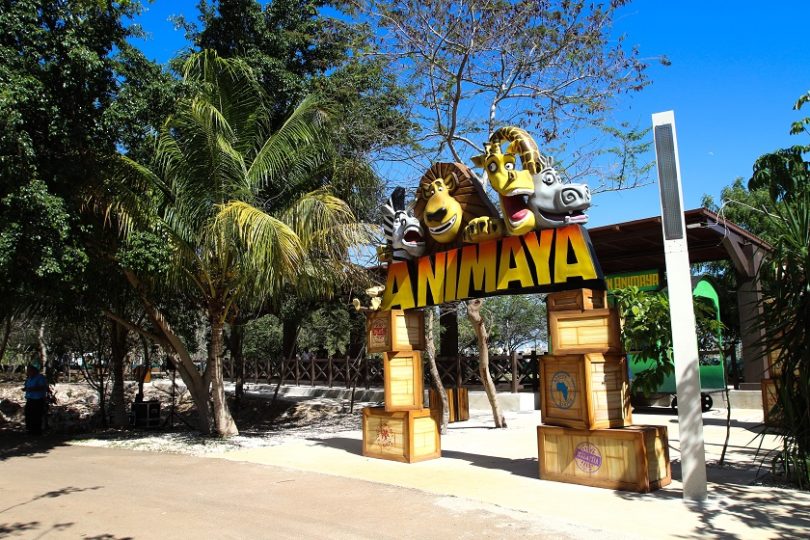 El parque Animaya estrena espacios modernos y funcionales