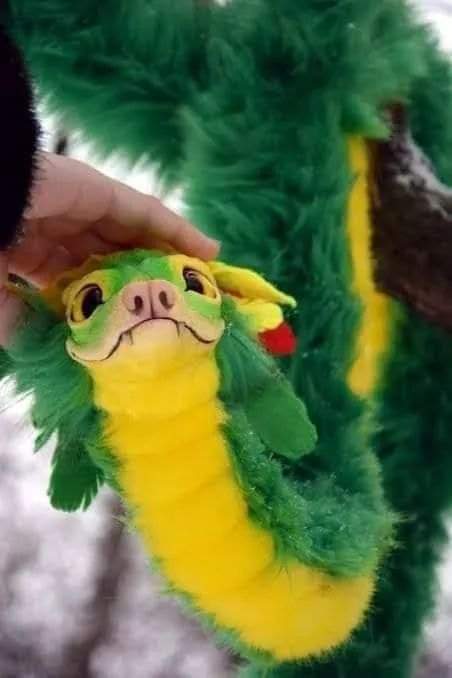 'Baby Quetzalcóatl', la deidad que llega a robar corazones | Con Acento