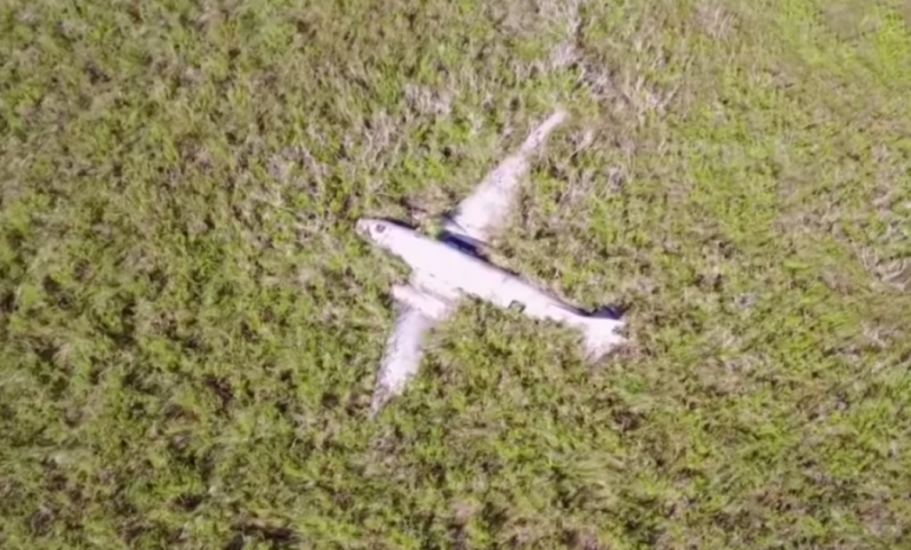 Senderistas realizarán excursión a ruinas del avión caído en Yucatán ...