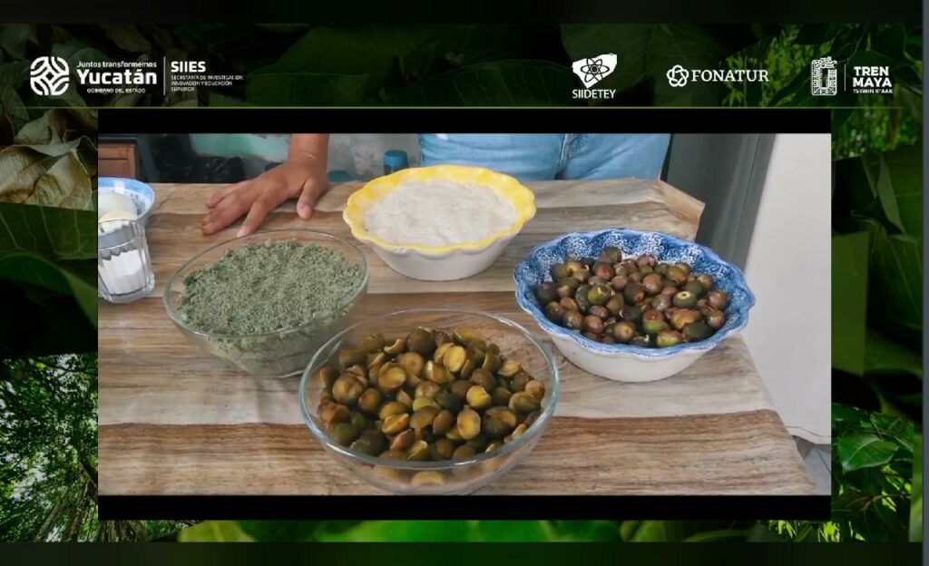 Impulsan el uso de la semilla del Ramón; árbol sagrado maya | Con Acento