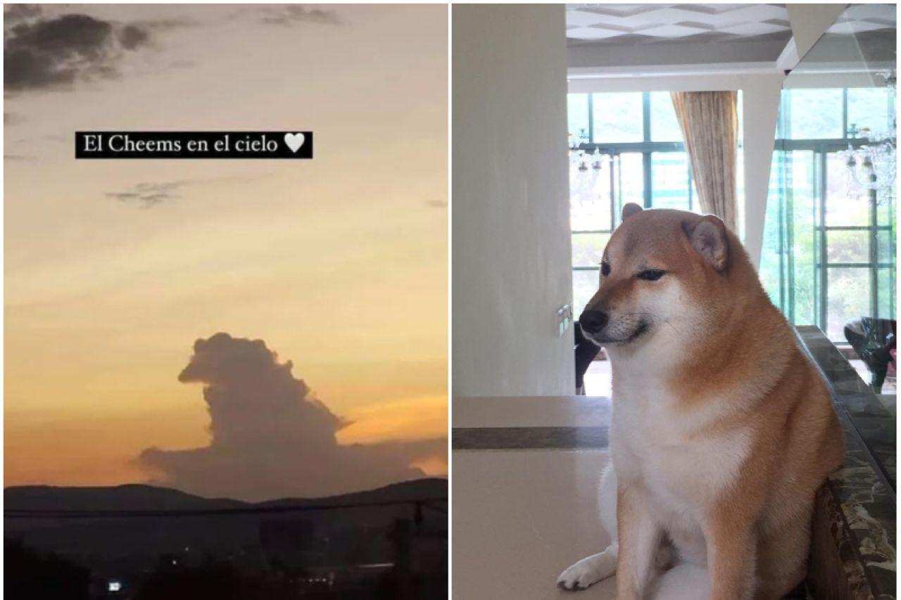 Cheems aparece en el cielo; nuble con su forma se viraliza | Con Acento