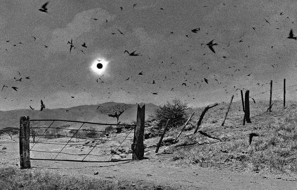 La increíble fotografía de un eclipse solar en 1990 | Con Acento