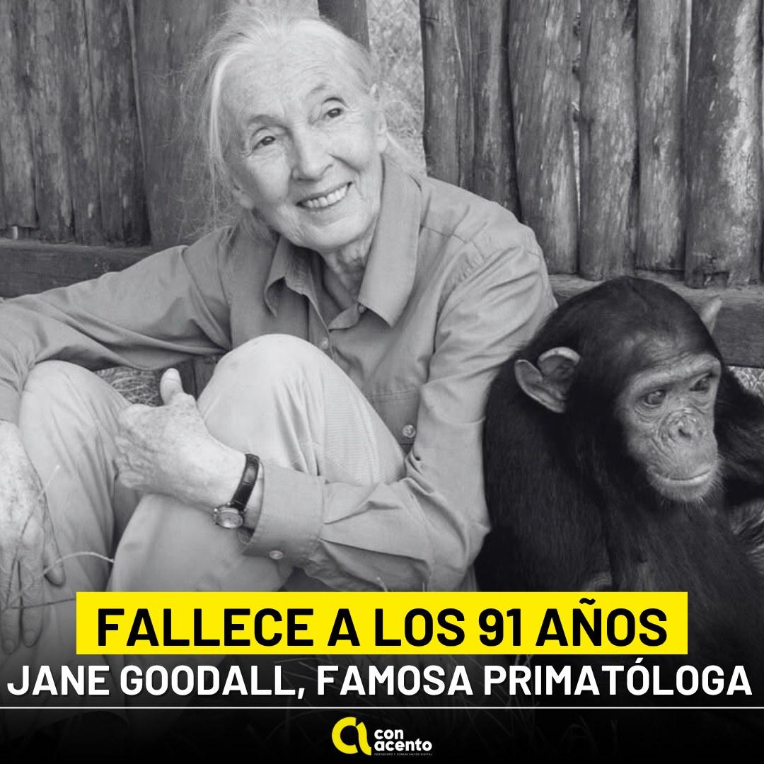 Fallece Jane Goodall, defensora incansable de la vida silvestre | Con ...